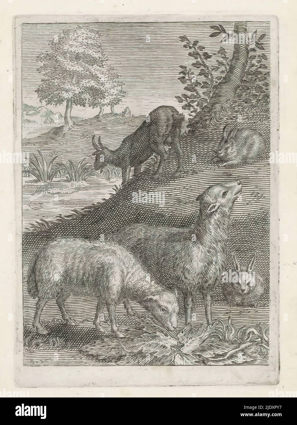 Sheep, goat and rabbits in a landscape, Land animals (series title ...