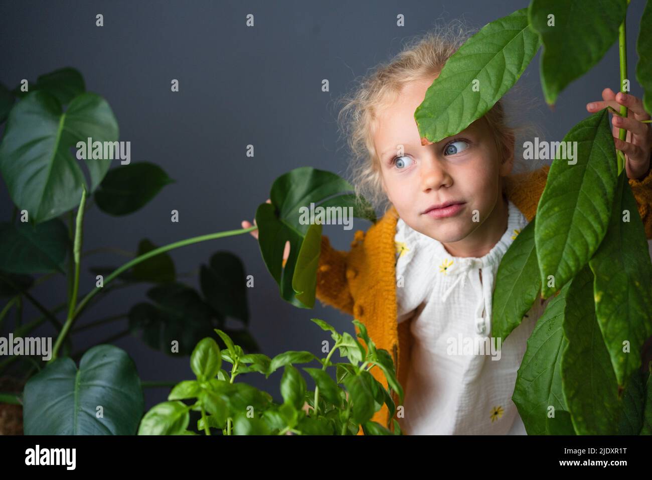 Curious girl standing amidst plants at home Stock Photo - Alamy