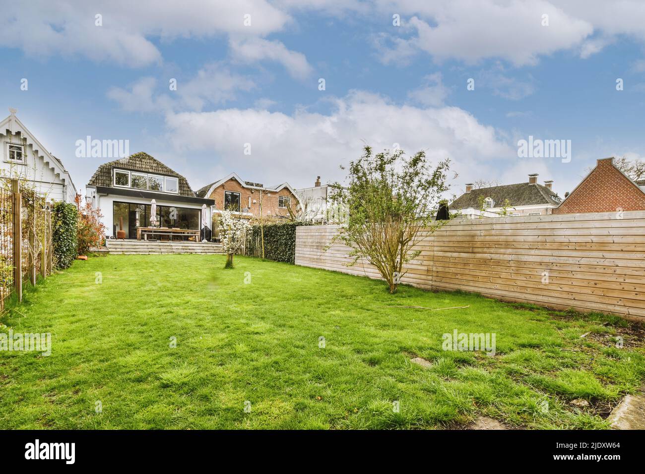 Spacious yard with a green lawn and a flowering tree overlooking a two ...