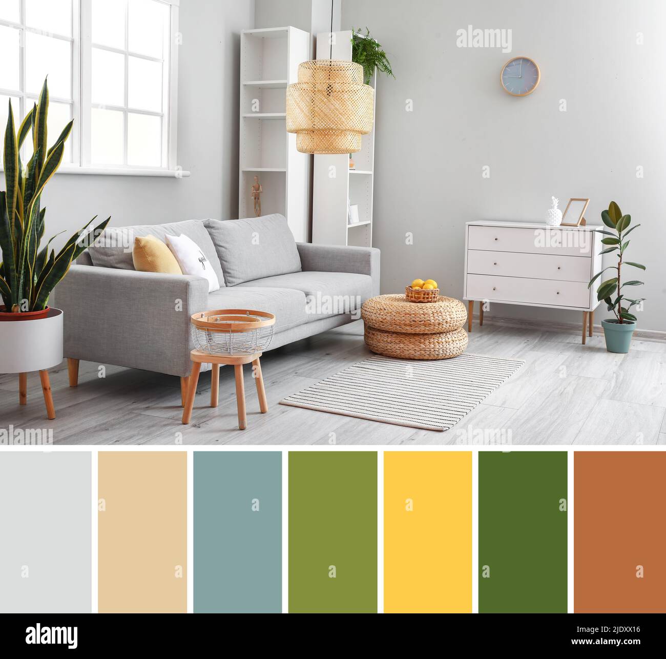 Interior of modern living room with comfortable sofa, shelf unit and ...