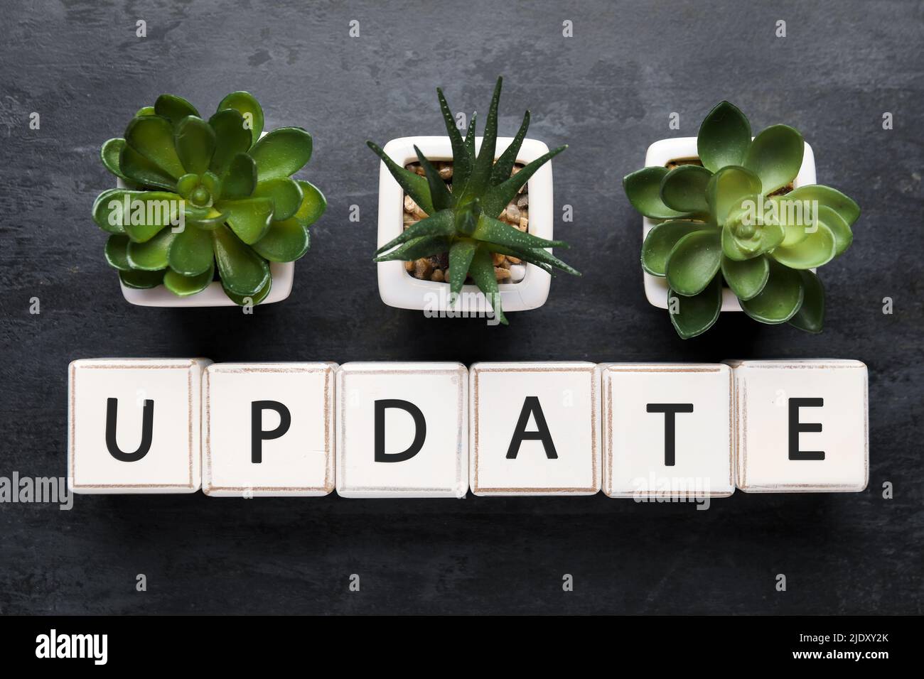 Word UPDATE made of cubes and succulents on dark background Stock Photo ...