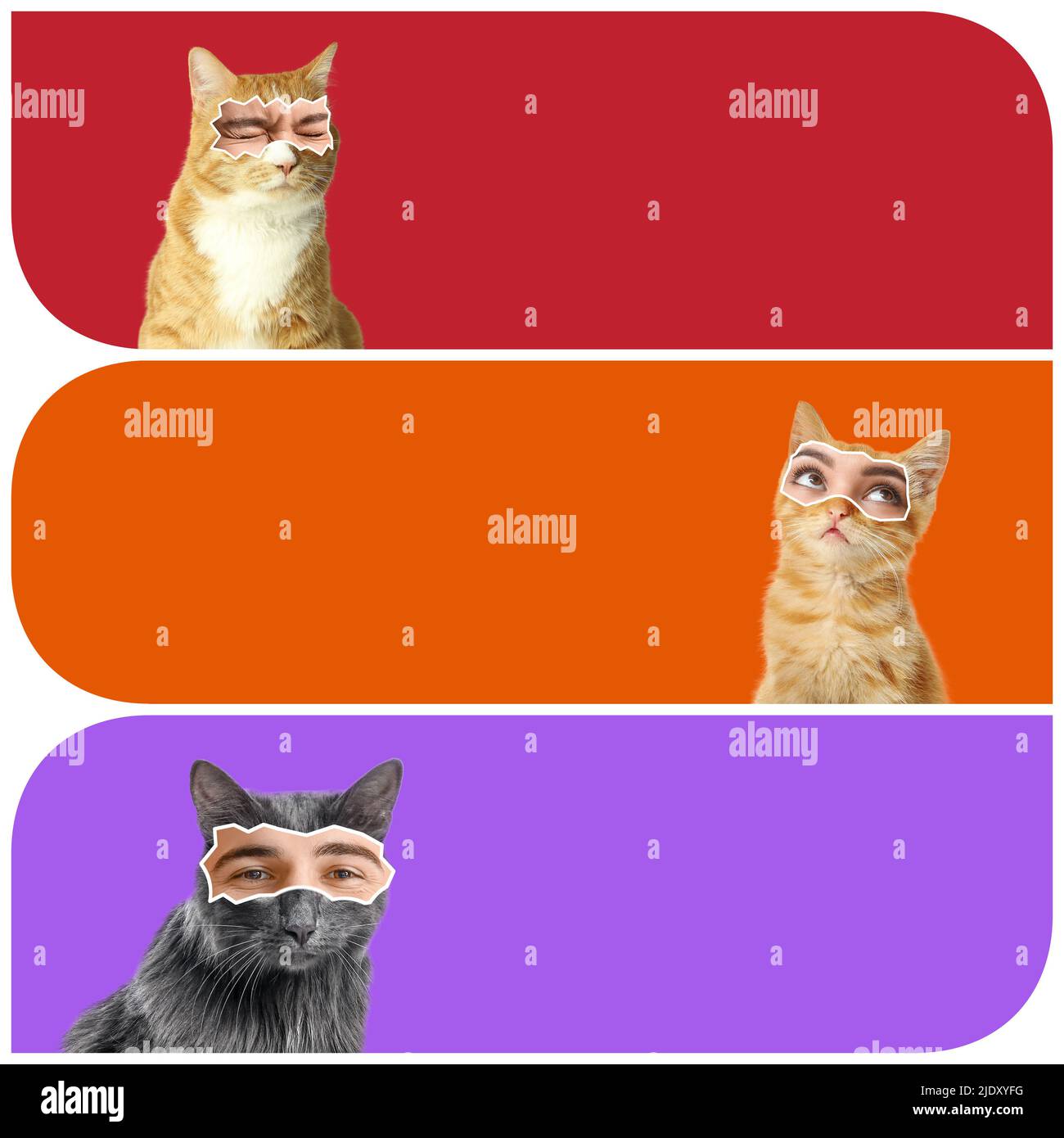 Collage poster banner funny Cut Out Stock Images & Pictures - Alamy