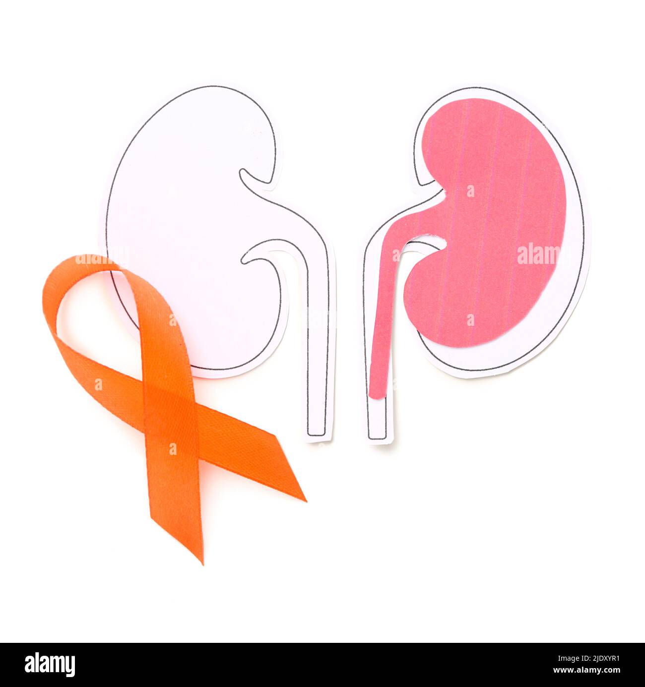 Orange awareness ribbon and paper kidneys on white background Stock ...