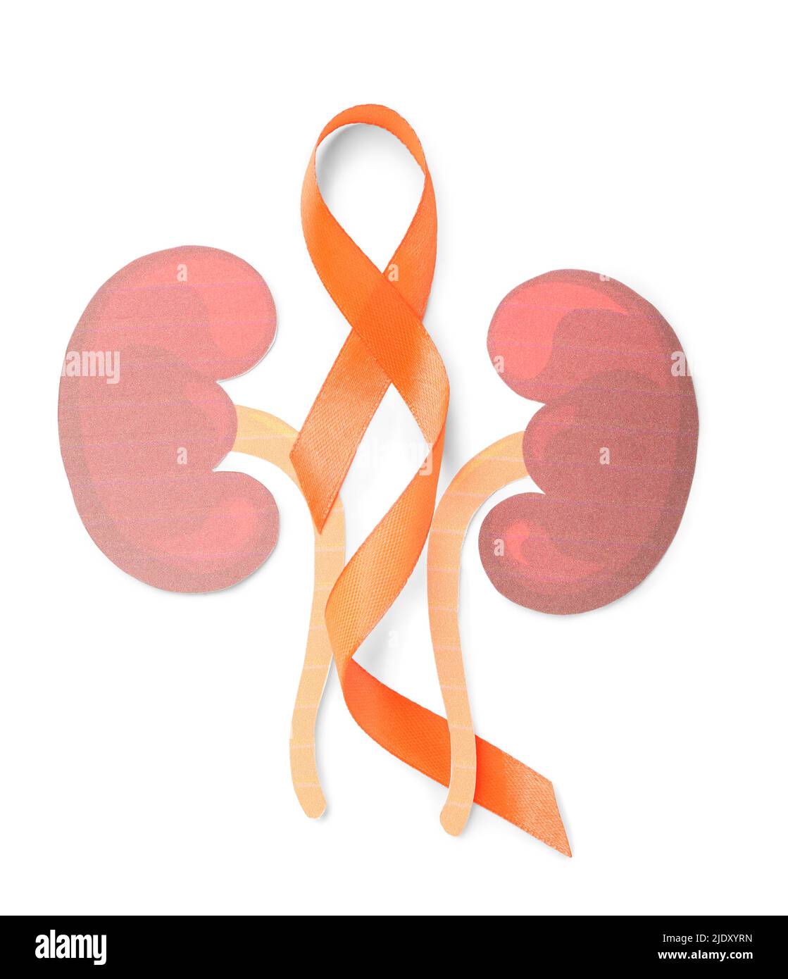 Orange awareness ribbon and paper kidneys on white background Stock ...