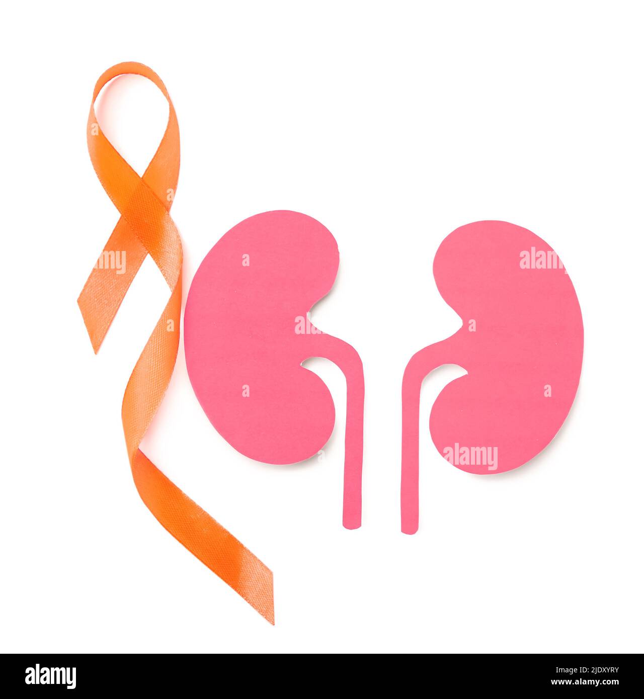 Orange awareness ribbon and paper kidneys on white background Stock ...