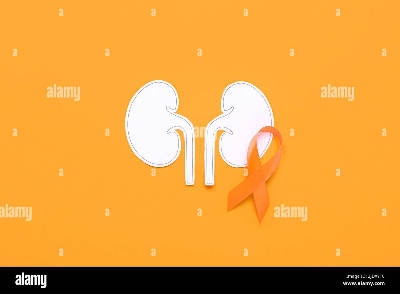Awareness ribbon and paper kidneys on orange background Stock Photo - Alamy