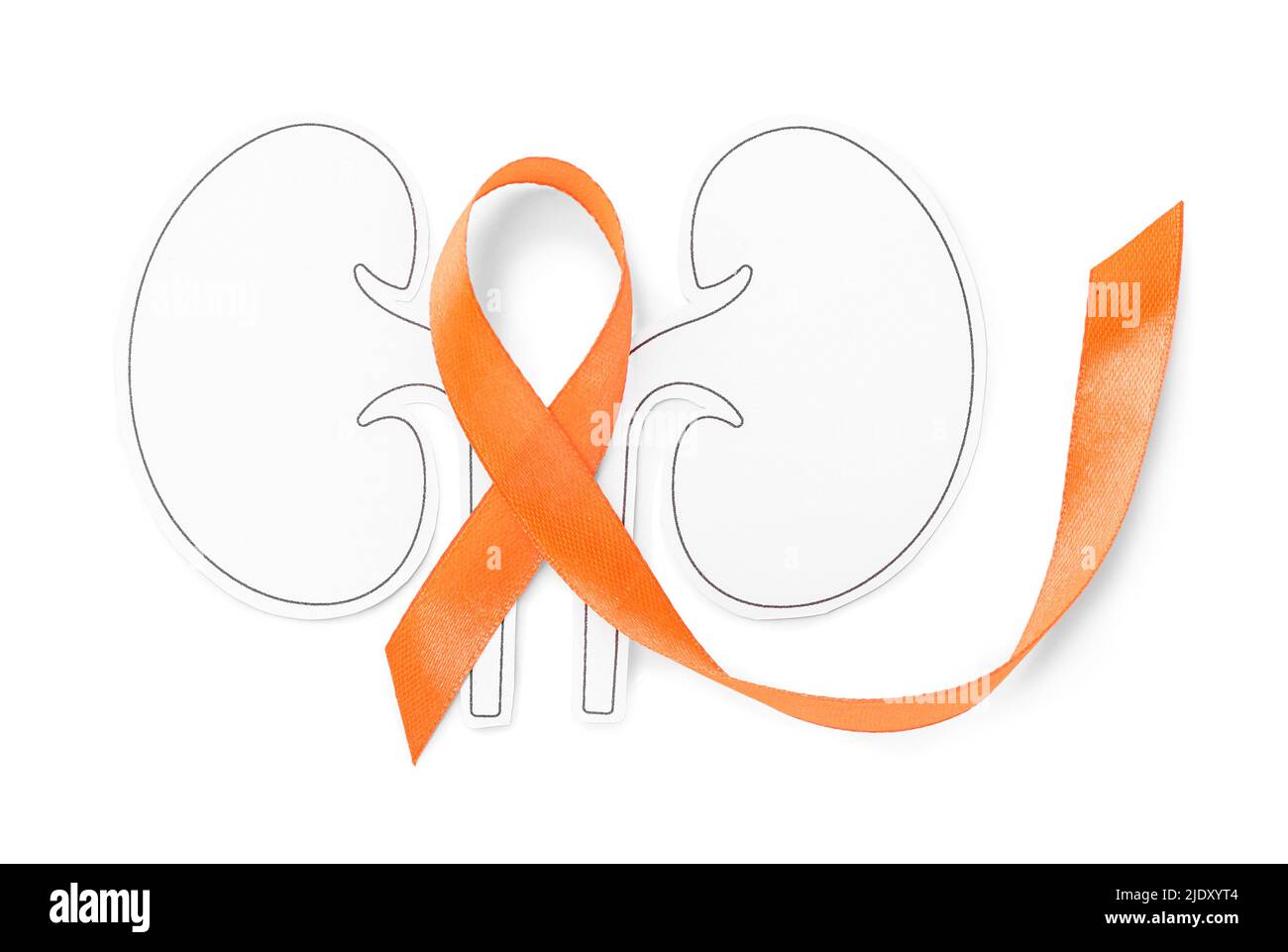 Orange awareness ribbon and paper kidneys on white background Stock ...
