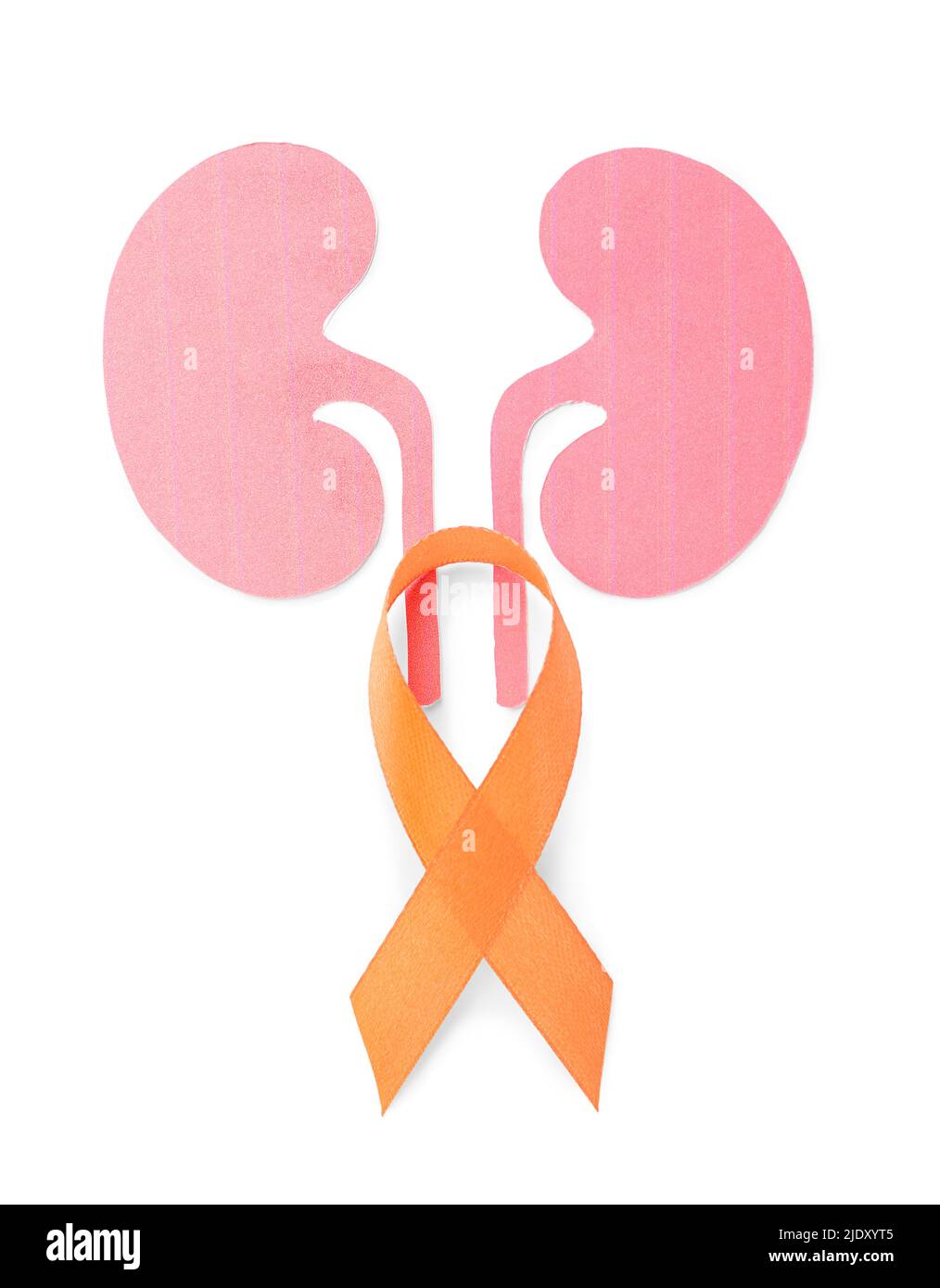 Orange awareness ribbon and paper kidneys on white background Stock ...