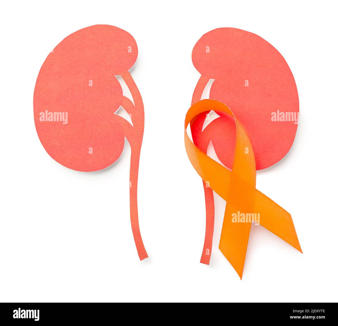Orange awareness ribbon and paper kidneys on white background Stock ...