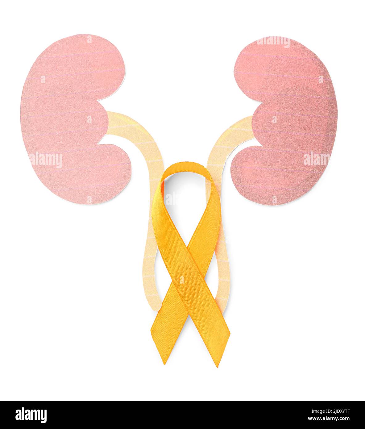 Orange awareness ribbon and paper kidneys on white background Stock ...