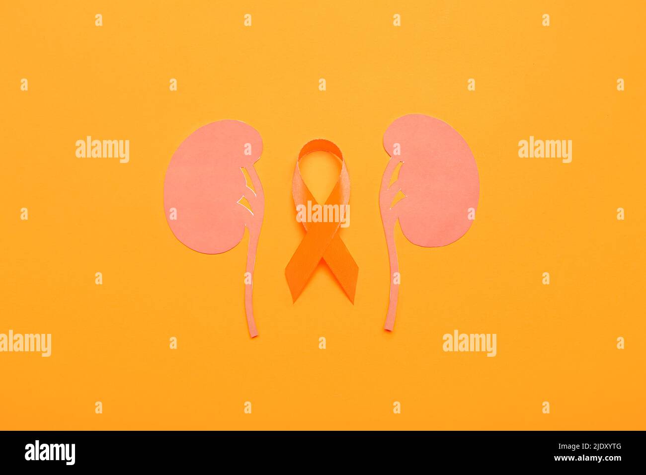 Awareness ribbon and paper kidneys on orange background Stock Photo - Alamy