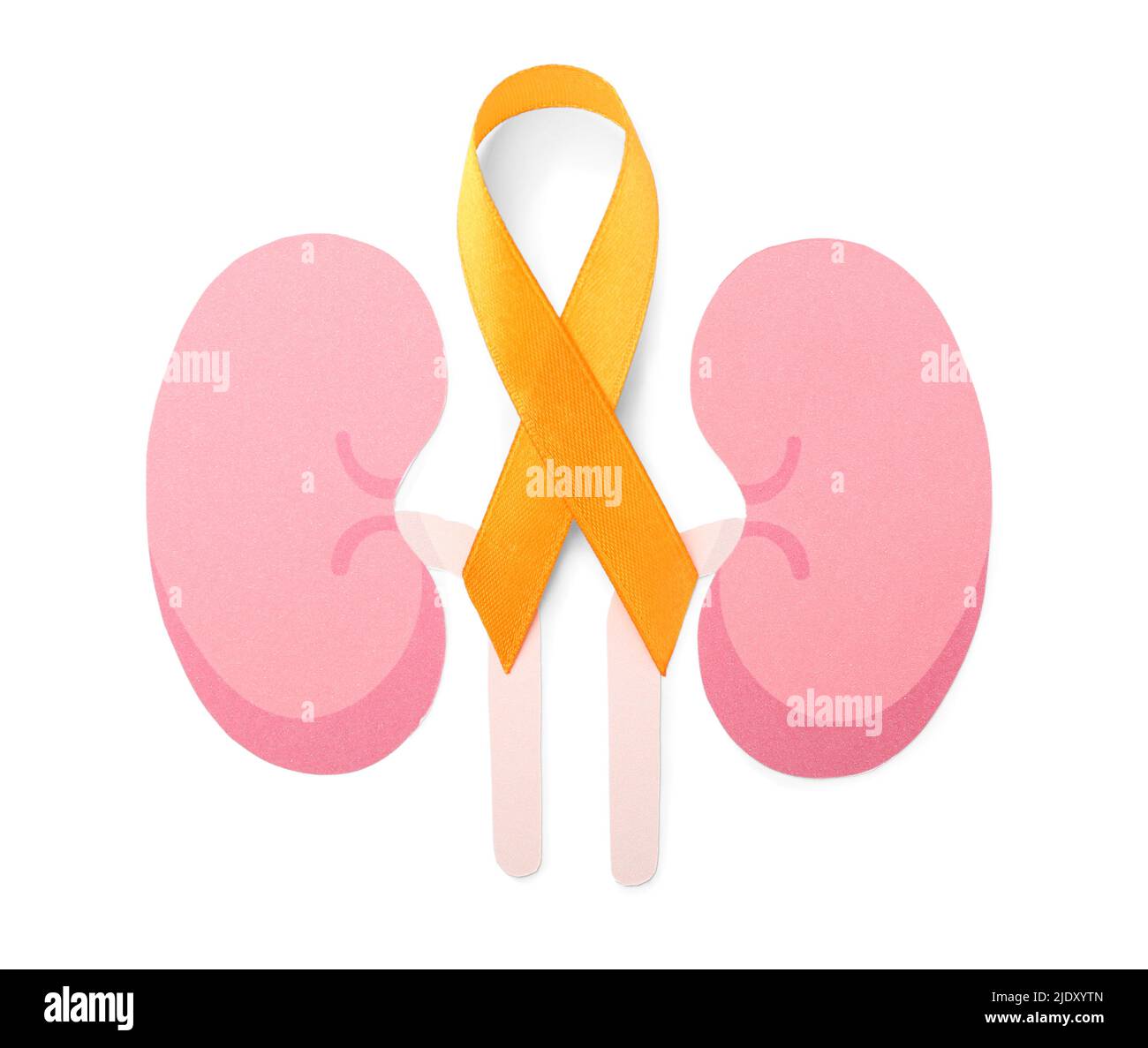Orange awareness ribbon and paper kidneys on white background Stock ...