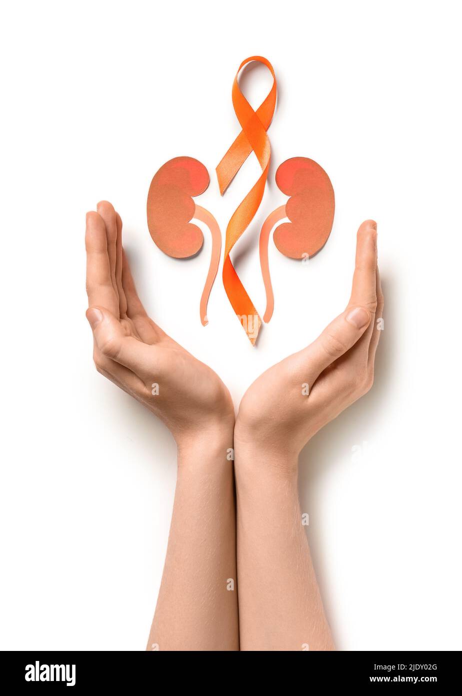 Woman with orange awareness ribbon and paper kidneys on white ...