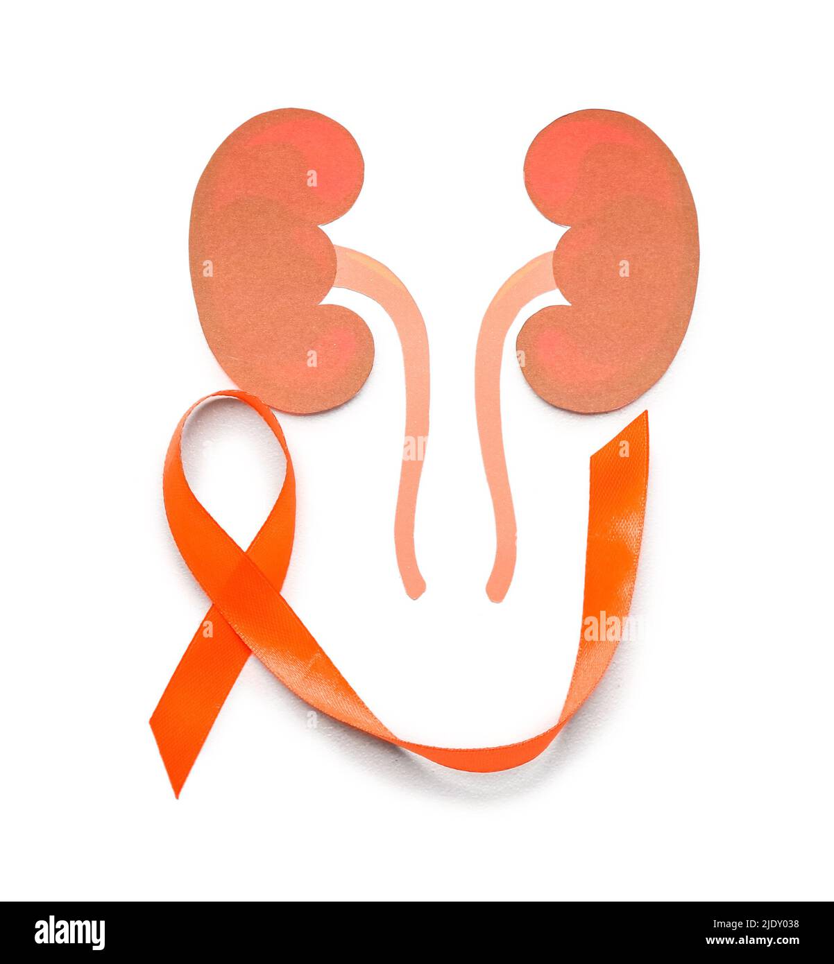 Orange awareness ribbon and paper kidneys on white background Stock ...