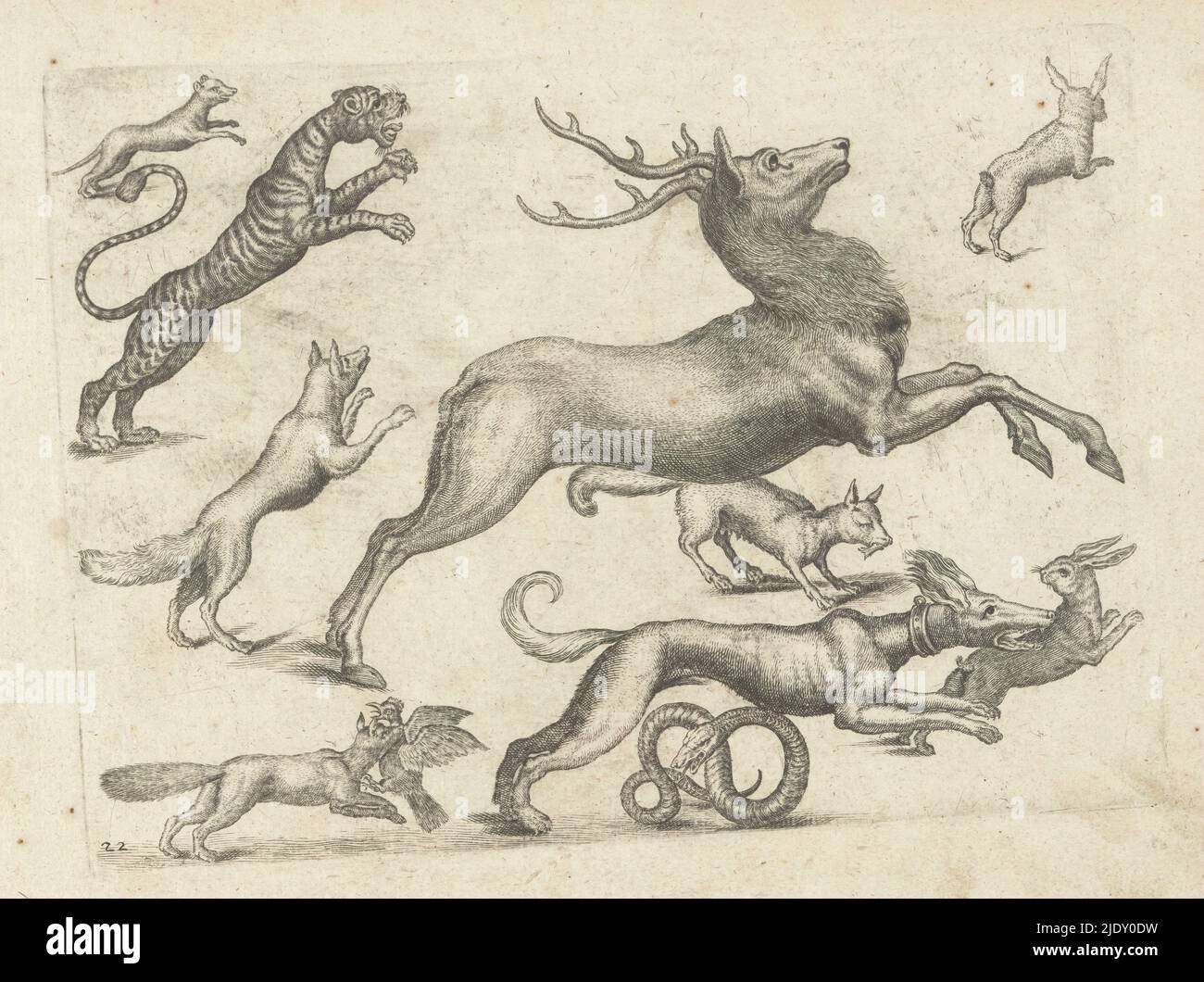 Study sheet showing various animals hi-res stock photography and images ...