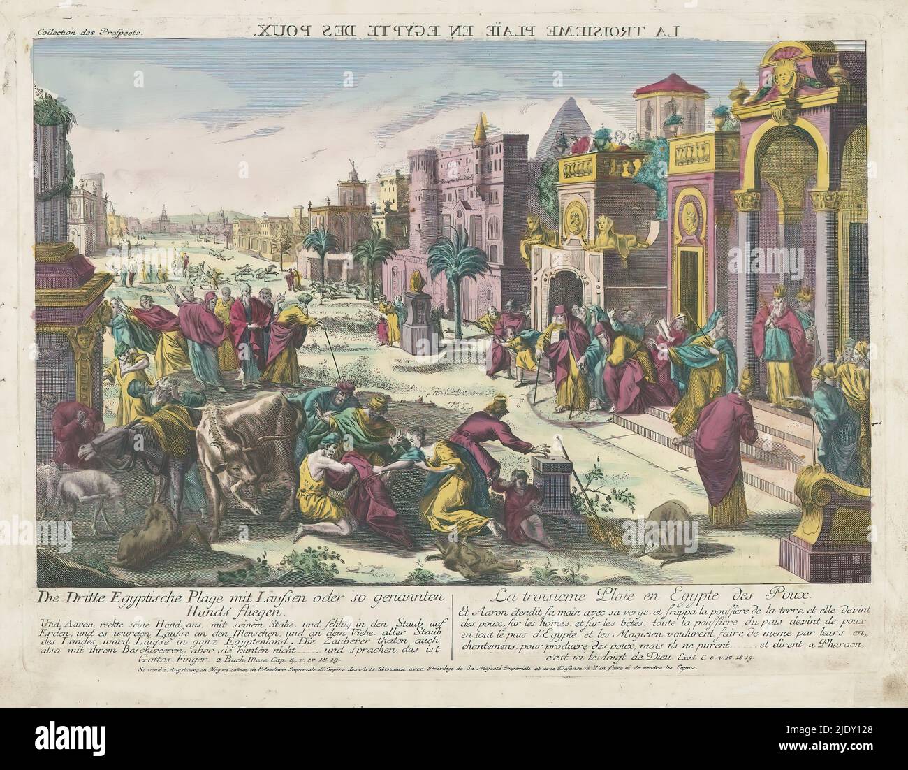 Plague lice egypt hi-res stock photography and images - Alamy