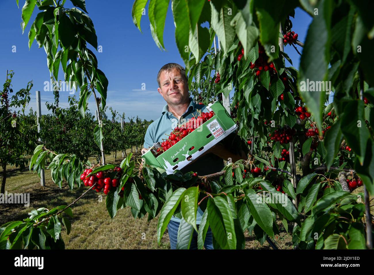 Thomas giese hi-res stock photography and images - Alamy