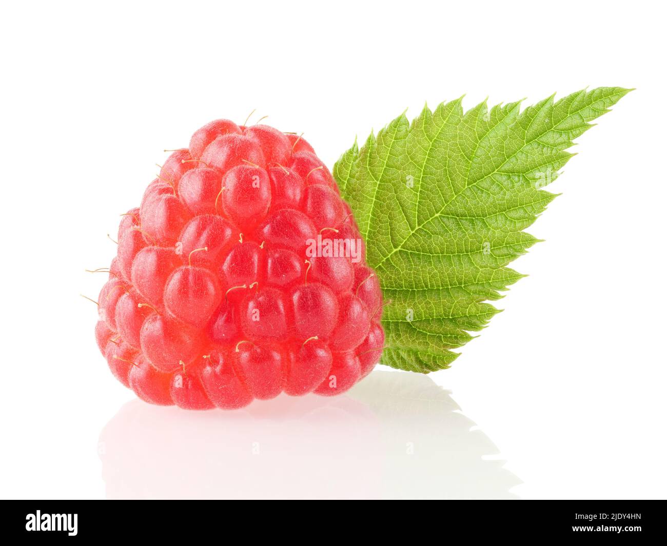 Raspberry with leaves. Raspberry isolated on white background Stock ...