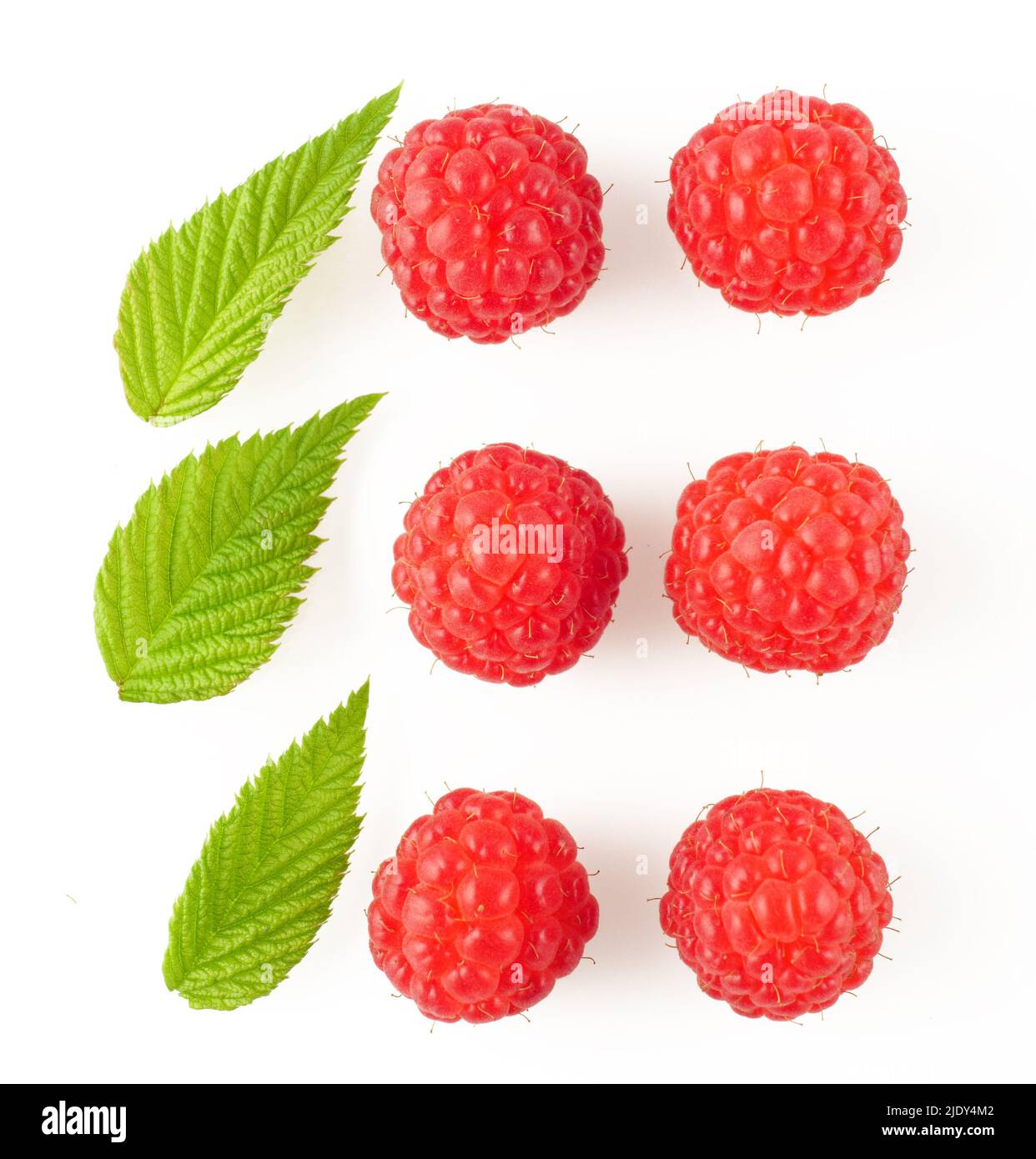 Raspberry with leaves. Raspberry isolated on white background Stock ...