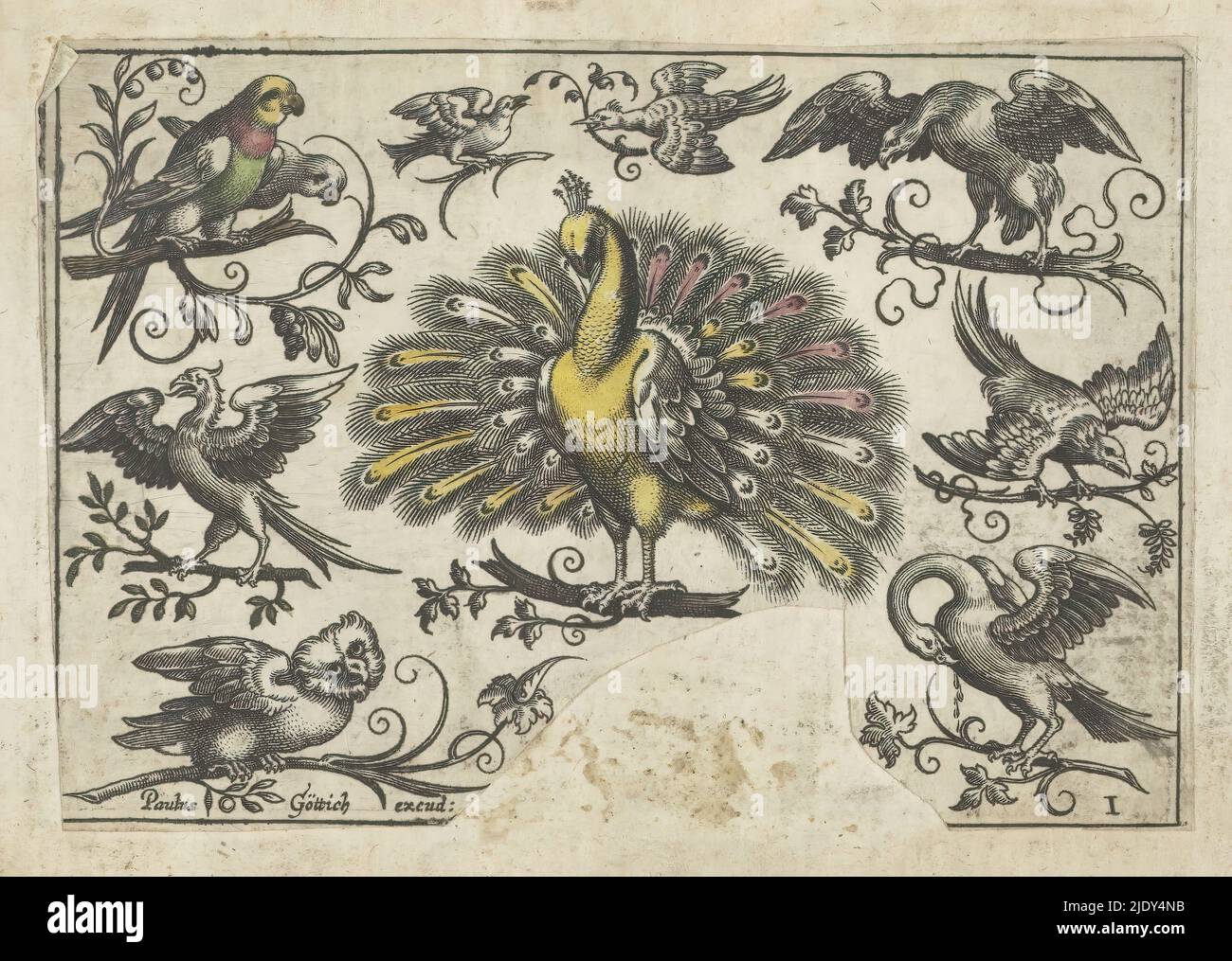 Full glory surrounded hi-res stock photography and images - Alamy