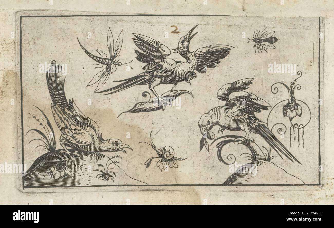 Three birds, a snail a two insects, Birds (series title), Three birds ...