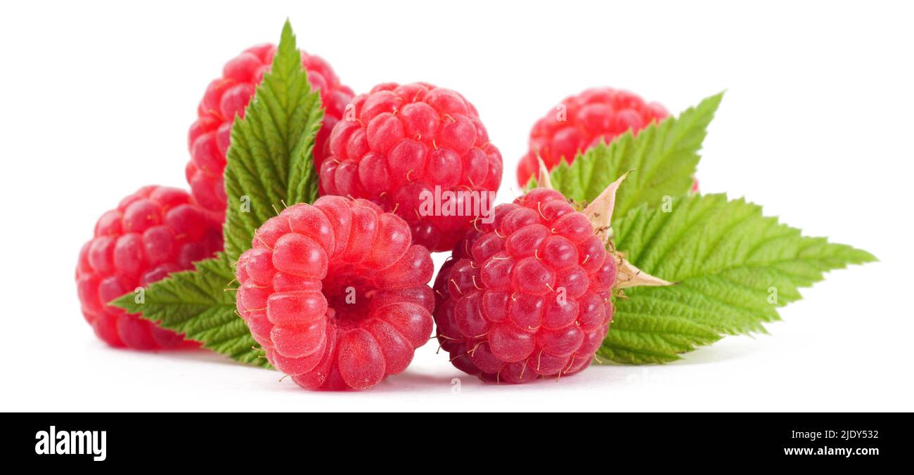Raspberry with leaves. Raspberry isolated on white background Stock ...
