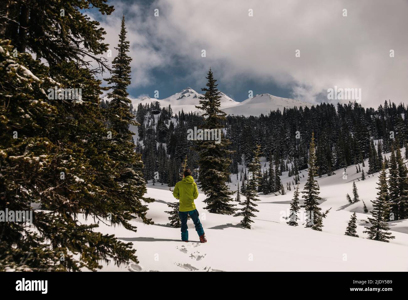 A man stands in a valley in Goat Rocks Wilderness Stock Photo - Alamy