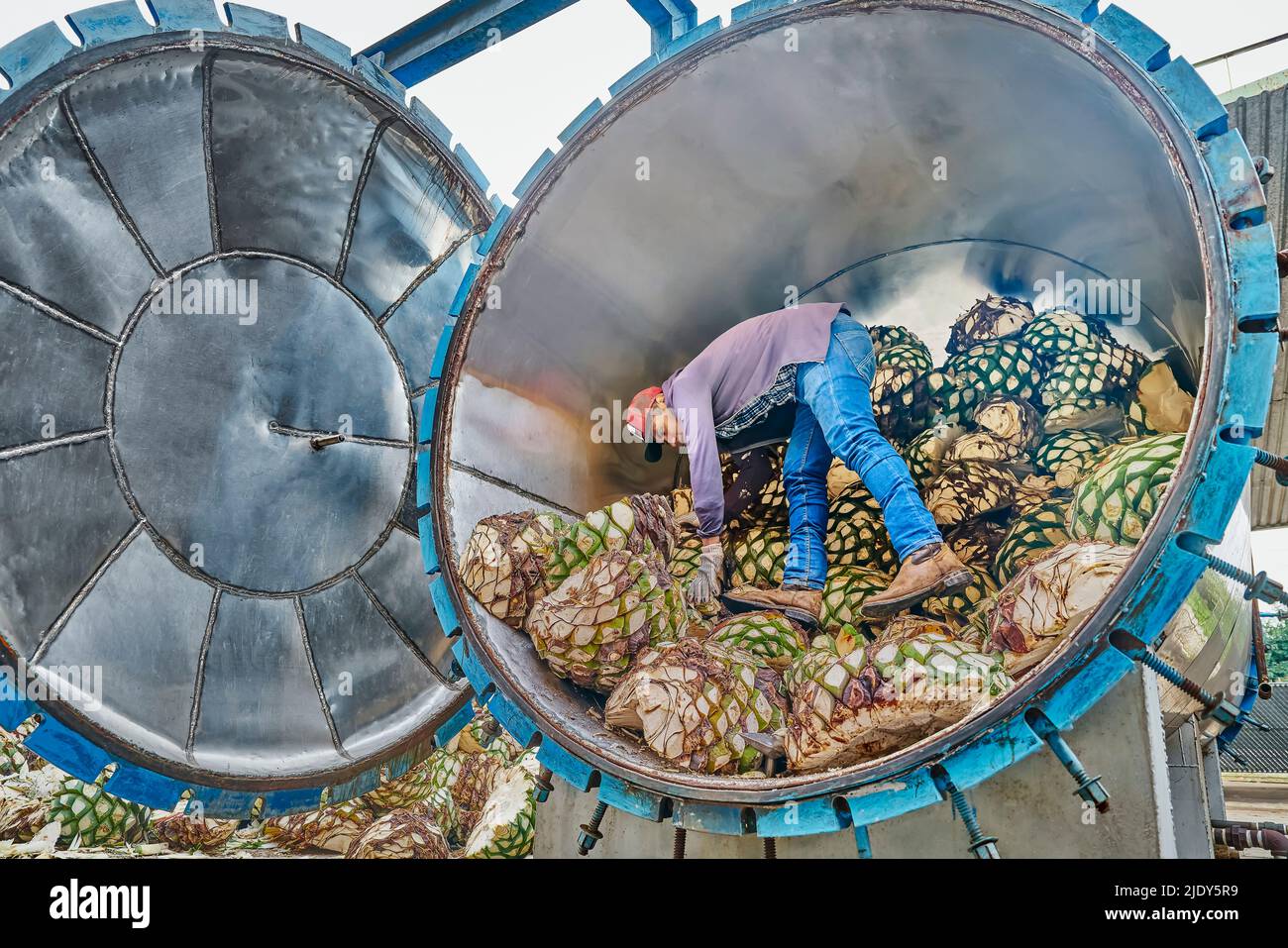 Man piling agave in oven ready to steam it Stock Photo - Alamy