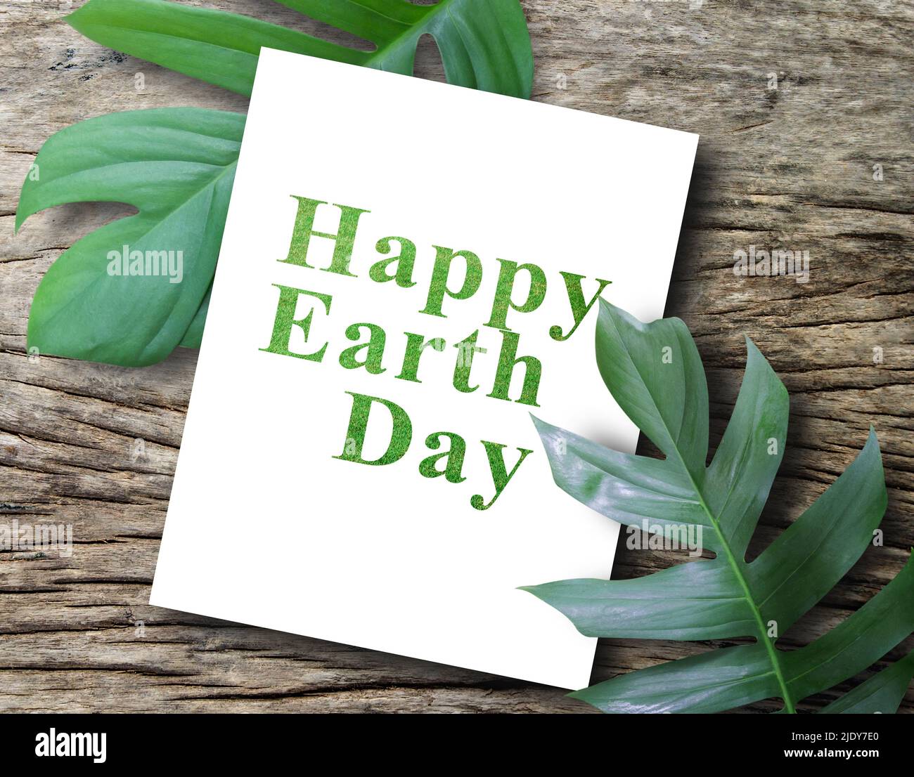 Top view with Happy Earth Day text on paper sheet with fresh spring ...