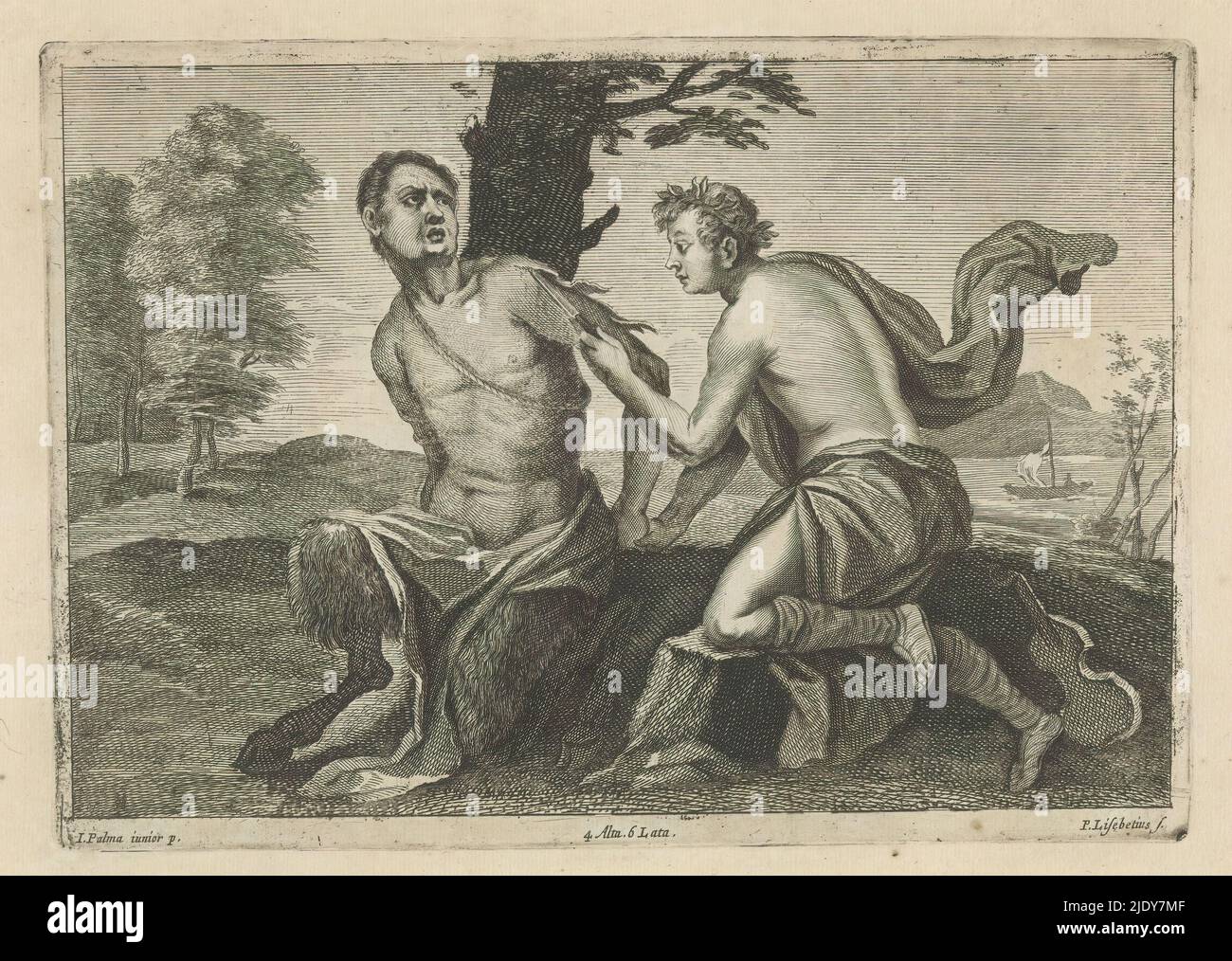 Apollo tied marsyas hi-res stock photography and images - Alamy