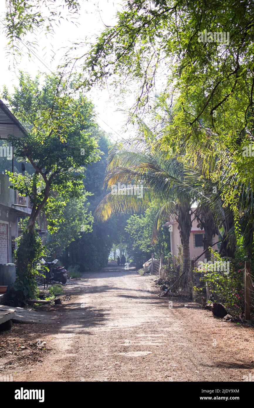 Indian village road hi-res stock photography and images - Alamy