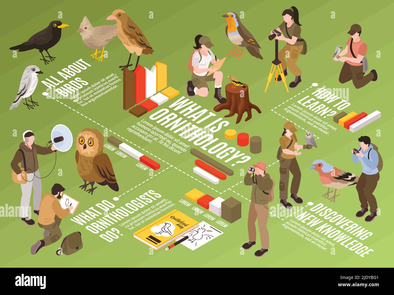 Ornithologist isometric educative infographic flowchart with profession ...