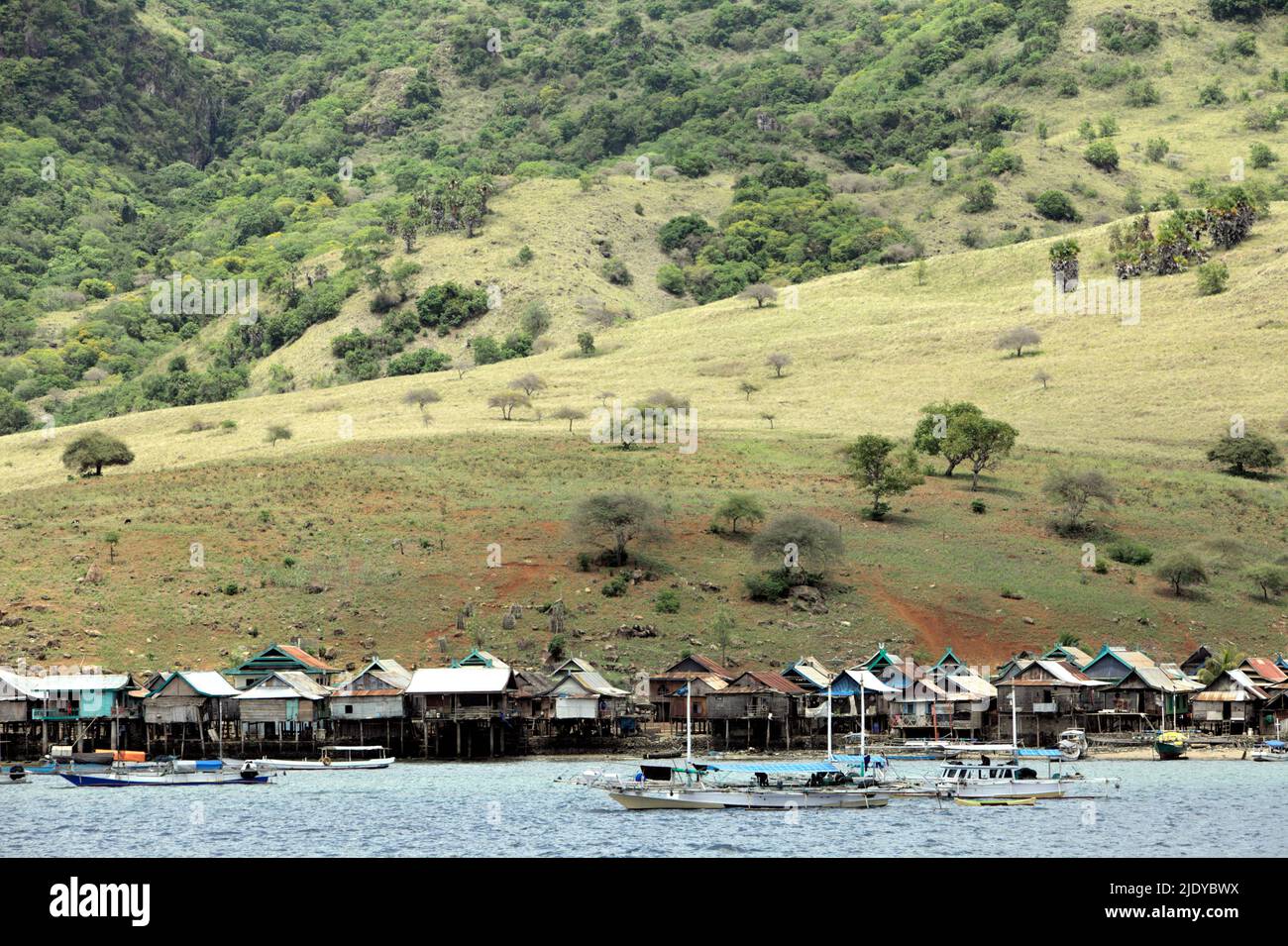 A view of Komodo village, a fishing village in Komodo Island within the ...