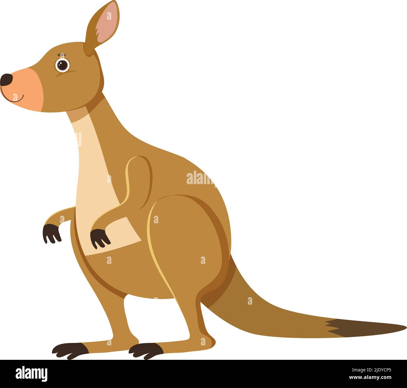 Kangaroo cartoon character isolated illustration Stock Vector Image ...