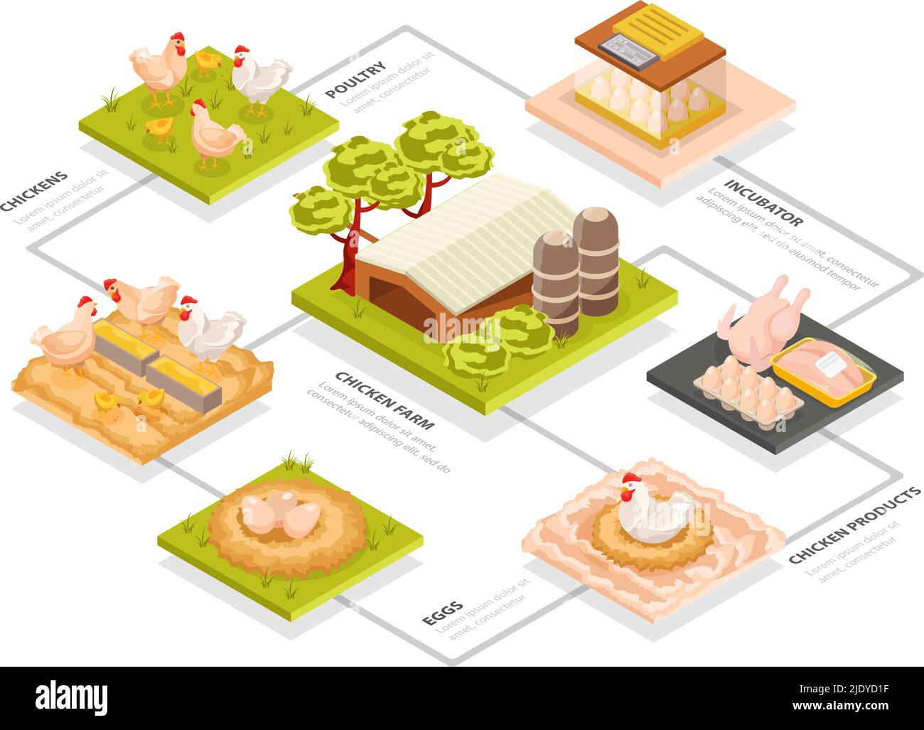 Chicken farm isometric flowchart with set of square platforms images of ...