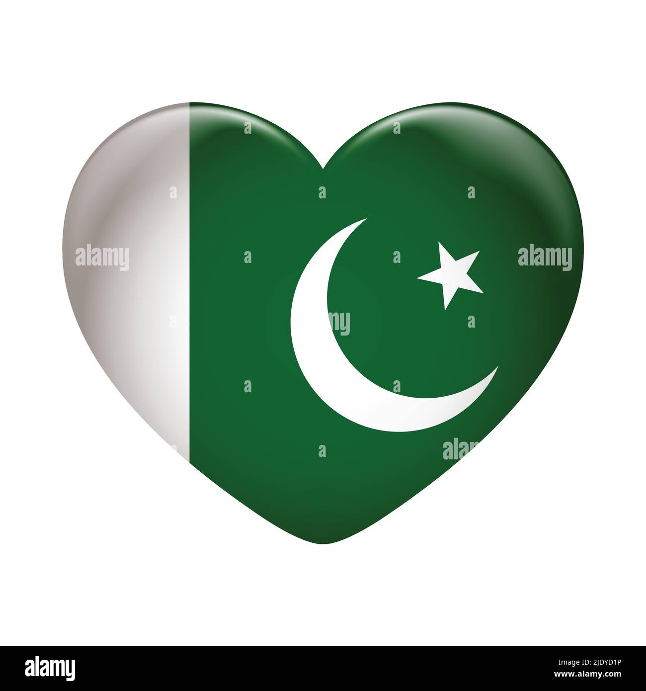 Pakistan flag icon isolated on white background. Pakistan flag. Flag ...