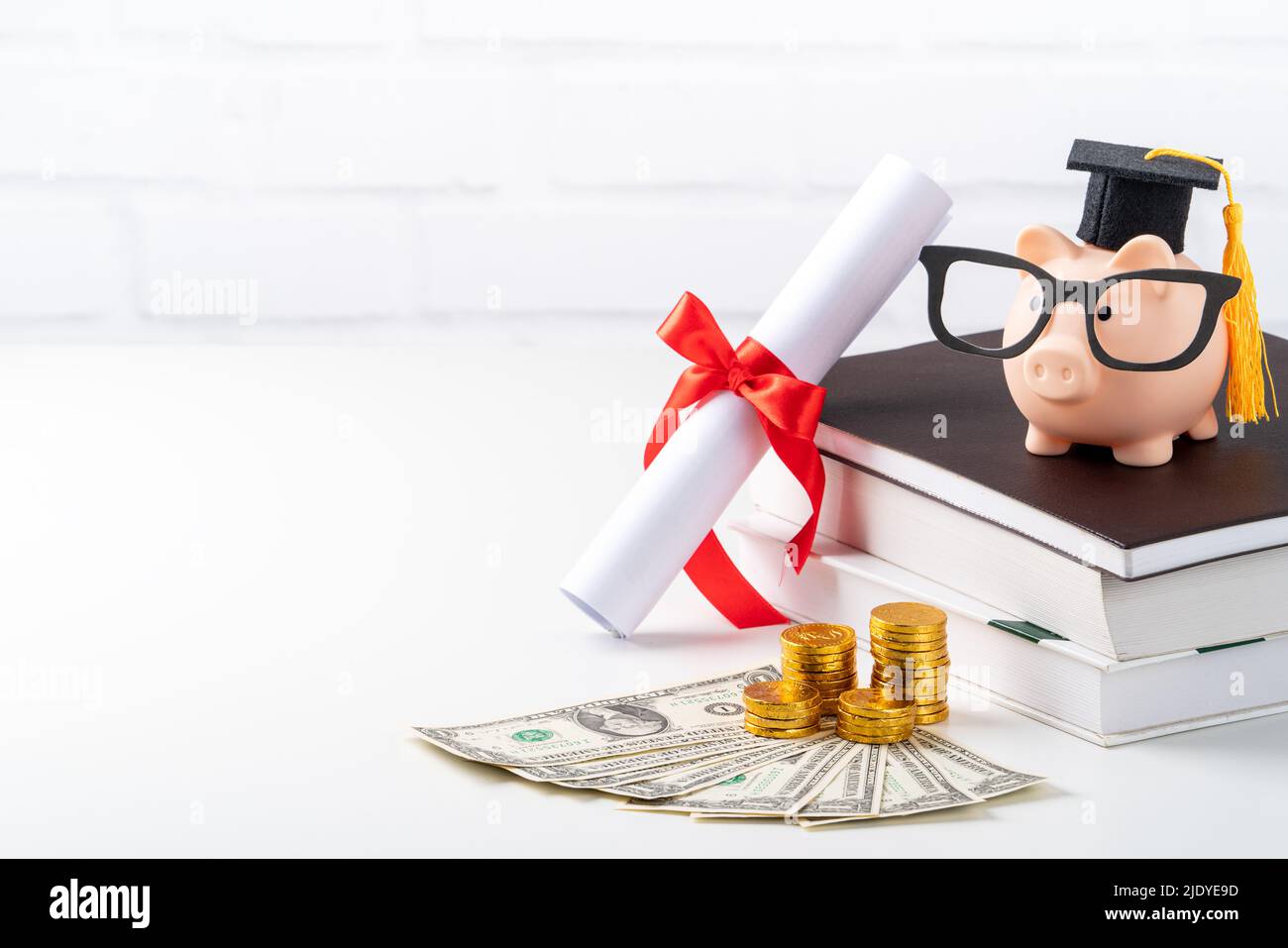 Design concept of new fresh graduate trying to find a job and earning ...