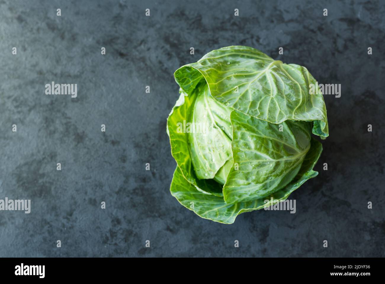 Early cabbage hi-res stock photography and images - Alamy
