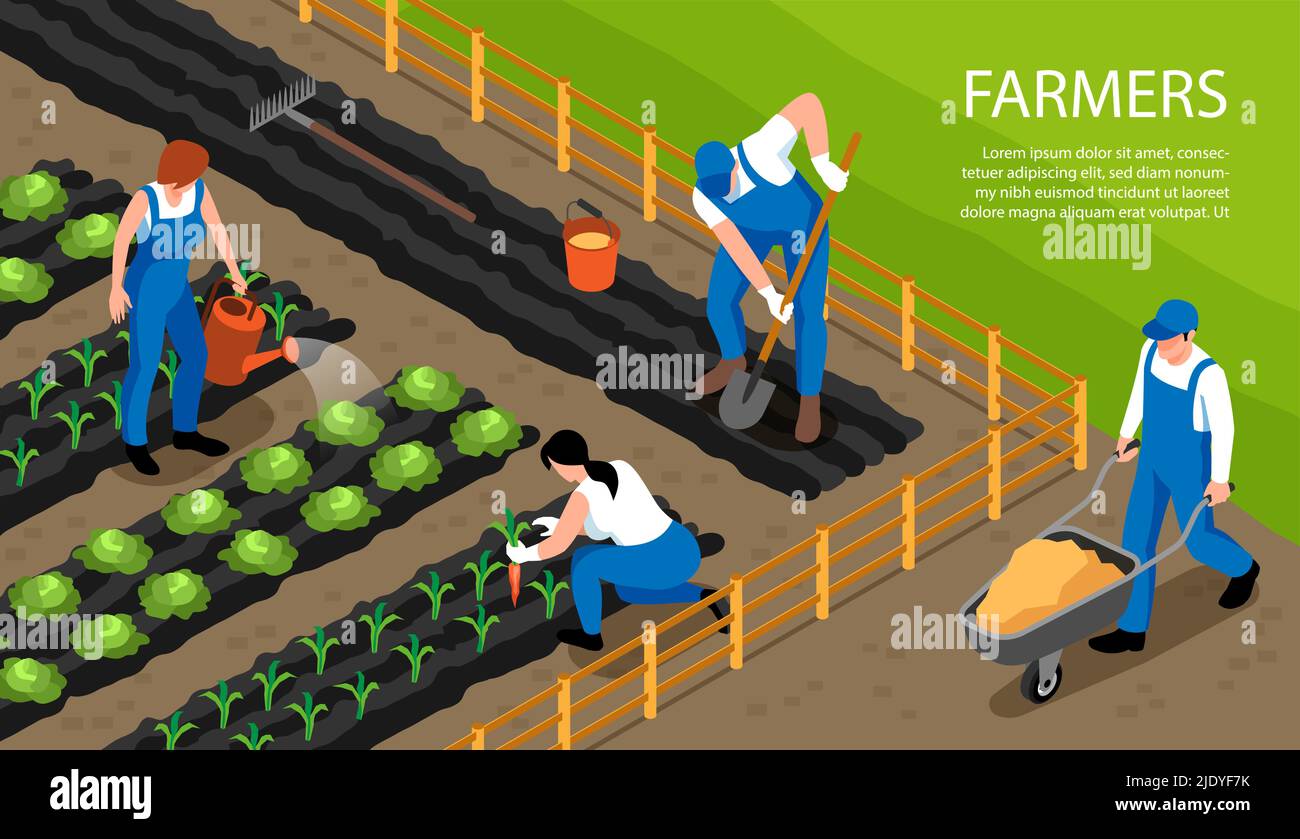Farmers at work watering harvesting crops cultivating soil isometric horizontal composition ...