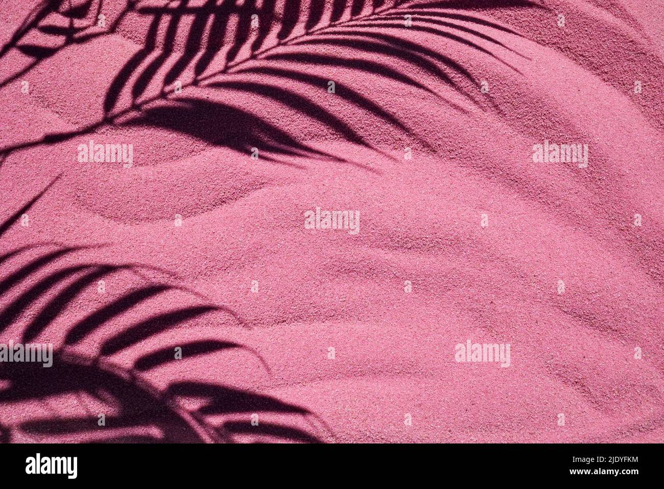 Pink sand texture. Sandy beach with palm shadow for product background ...