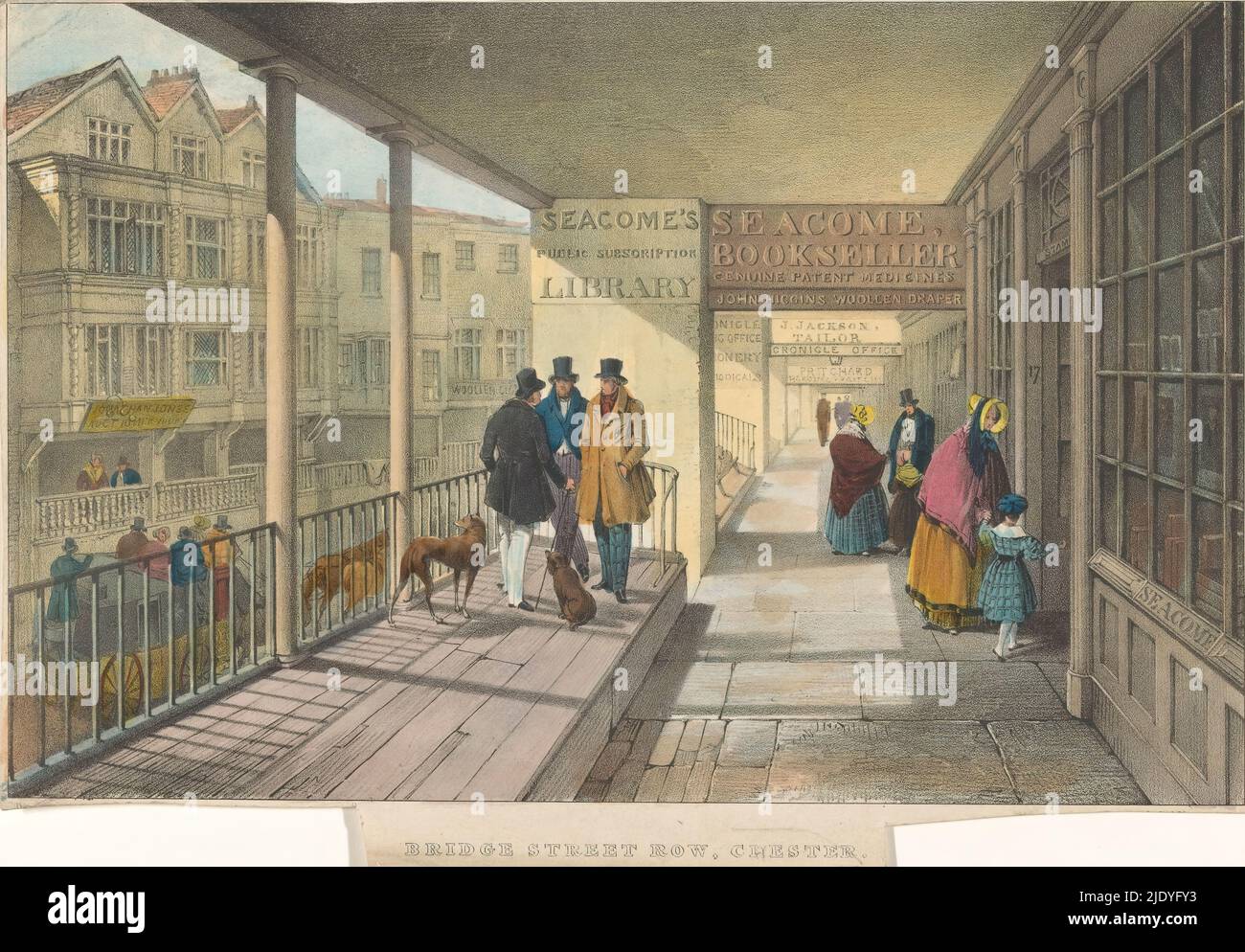 Chester row london hi-res stock photography and images - Alamy