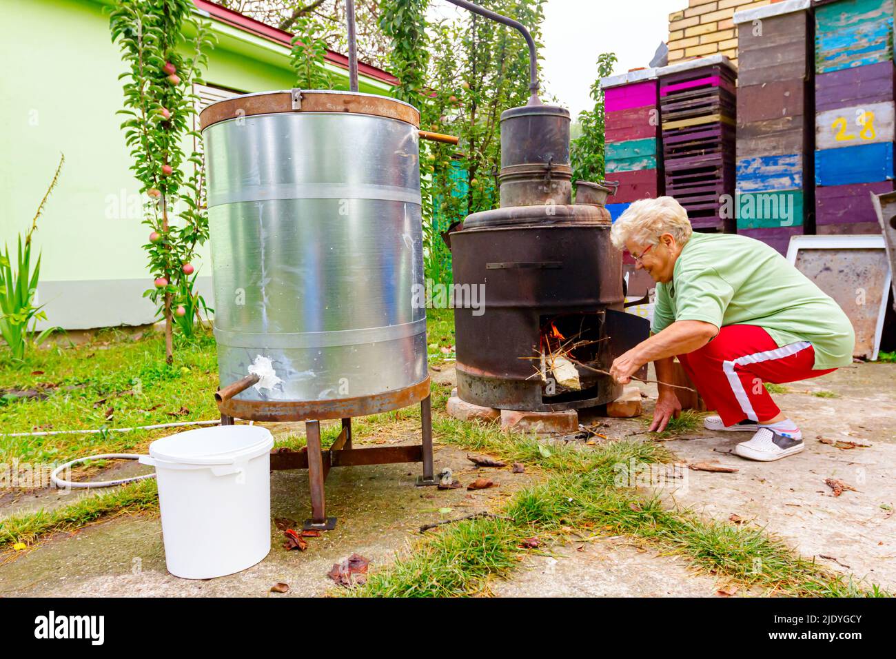 Grandma throws dry branches into the firebox of a homemade distillery ...