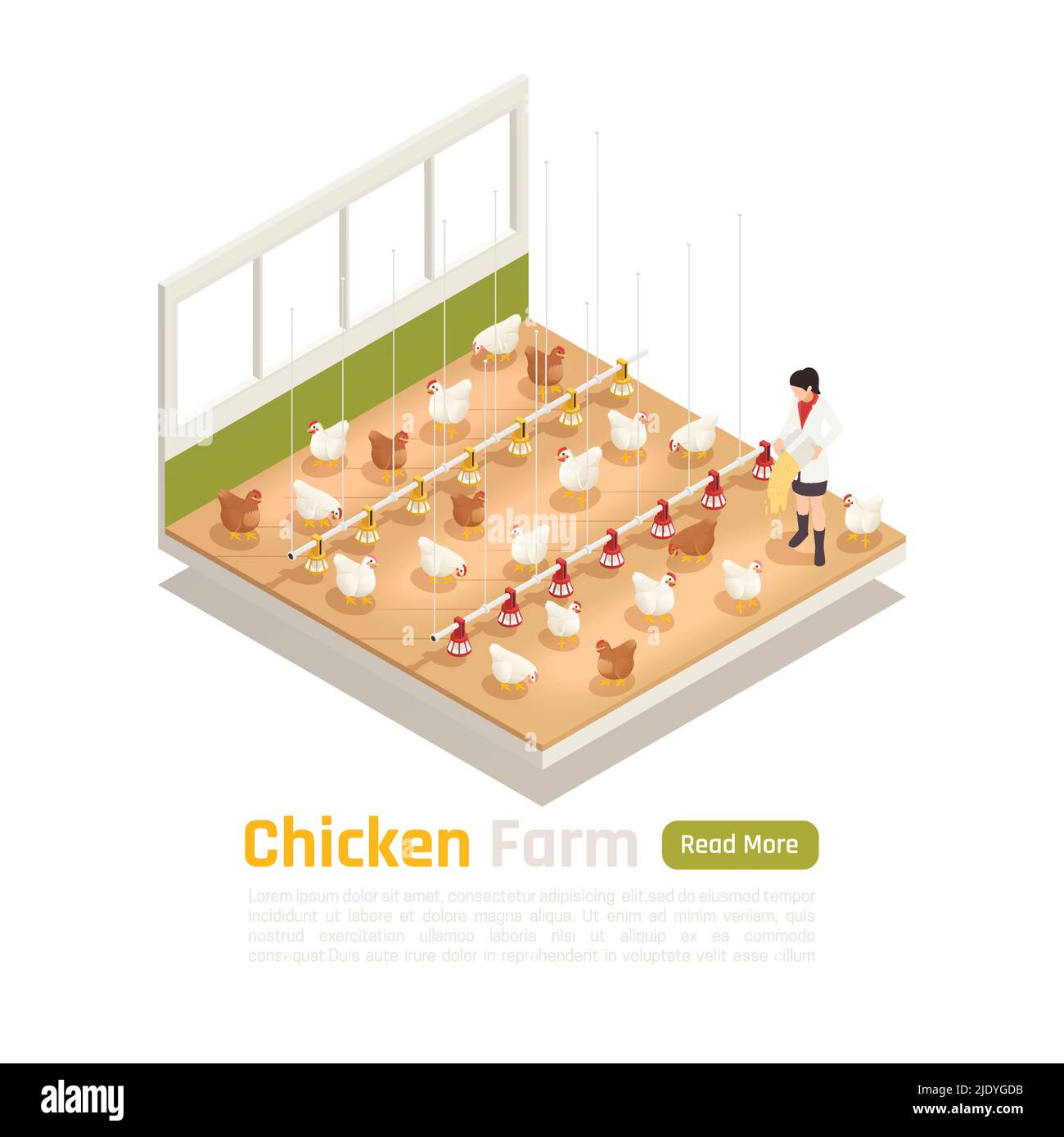 Chicken factory farm Stock Vector Images - Alamy