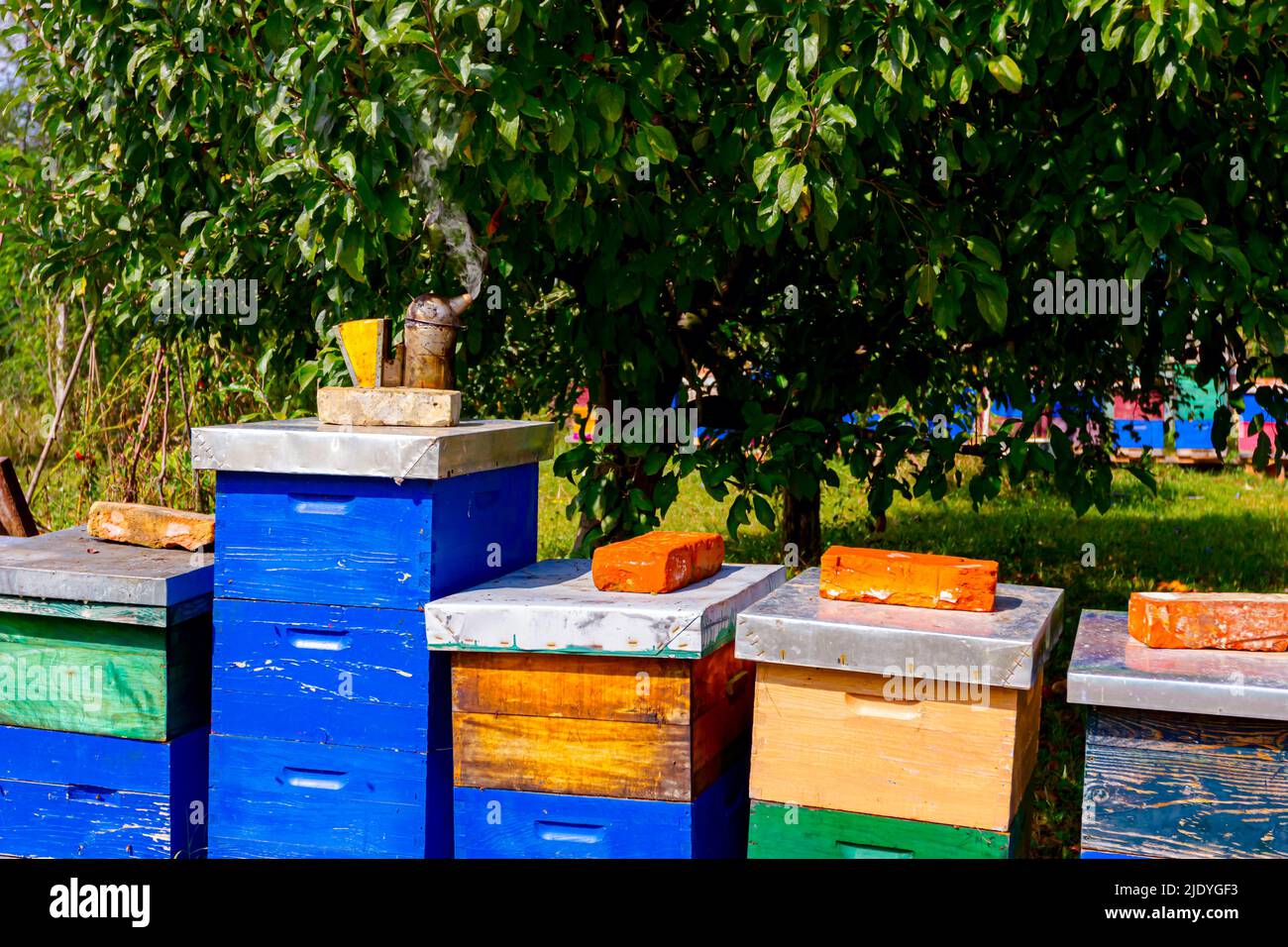 Beekeeper's smoker placed on beehive at summer time in orchard, apiary ...