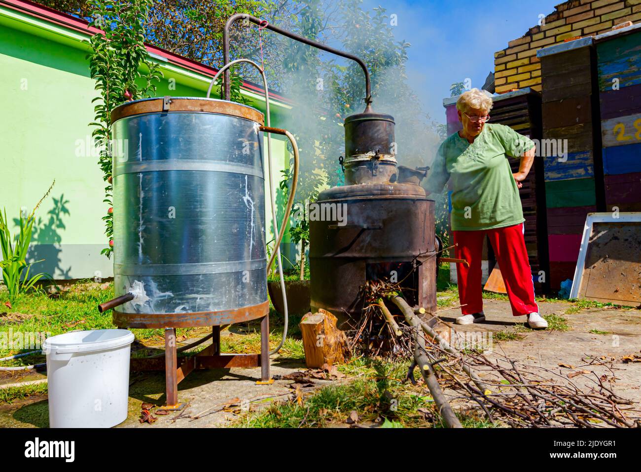 Woman is manually turning lever to mix fruit marc in boiler of homemade ...