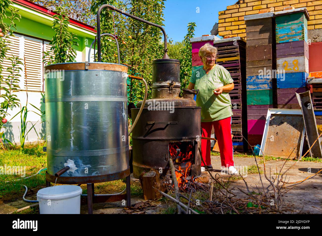 Woman is manually turning lever to mix fruit marc in boiler of homemade ...
