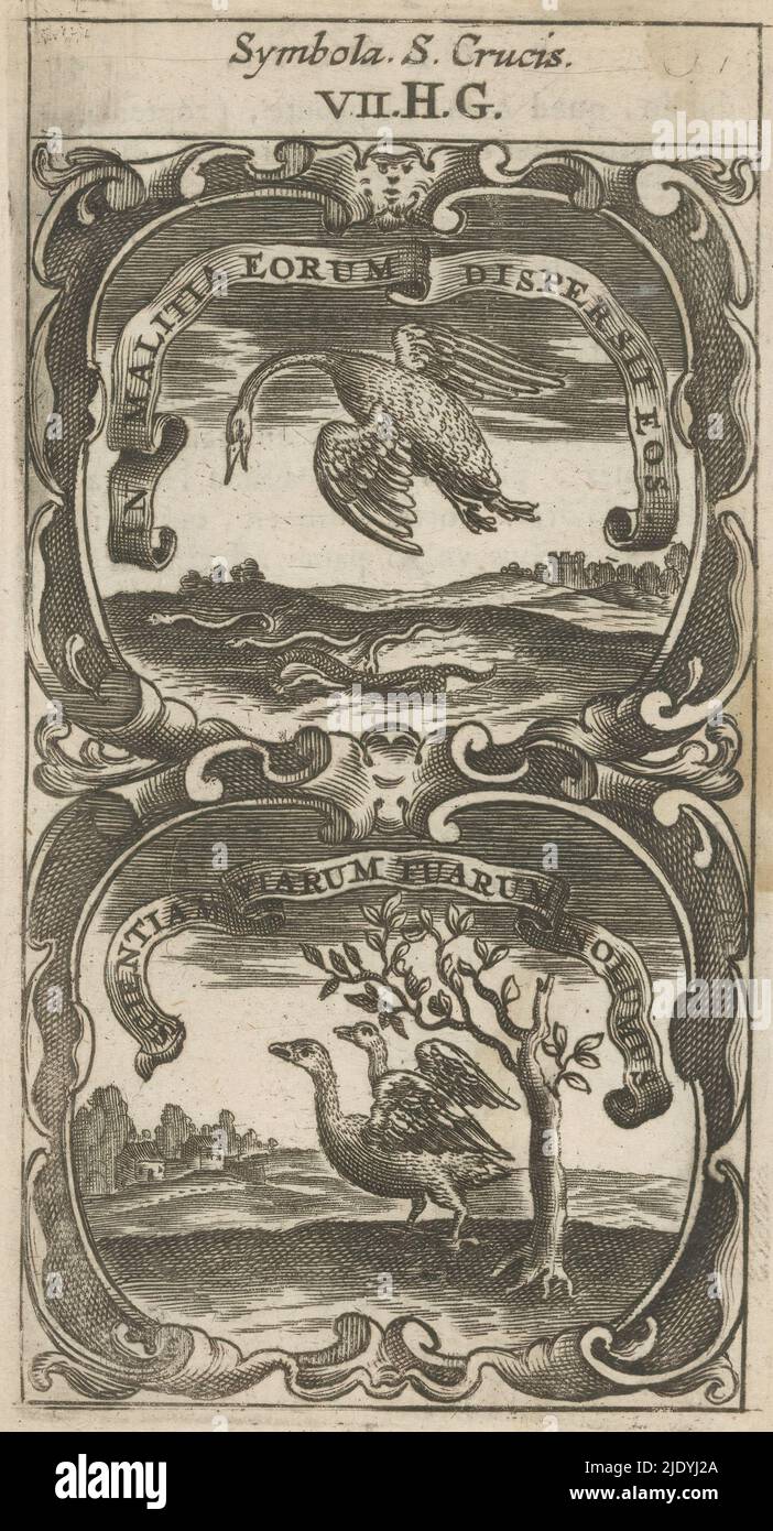 Snake attacked by a goose / Two geese under a tree, In Malitia Eorum ...
