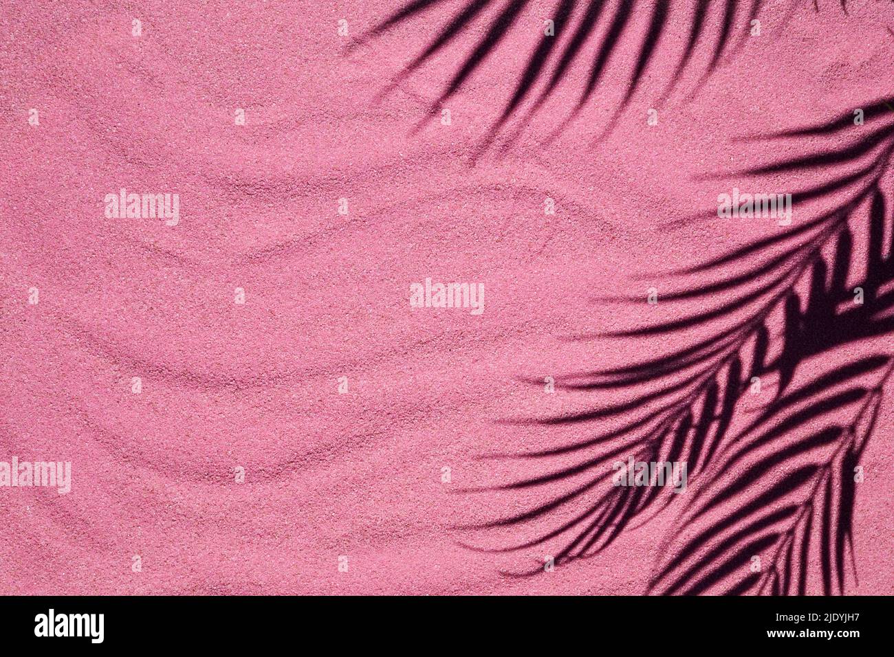 Pink sand texture. Sandy beach with palm shadow for product background ...