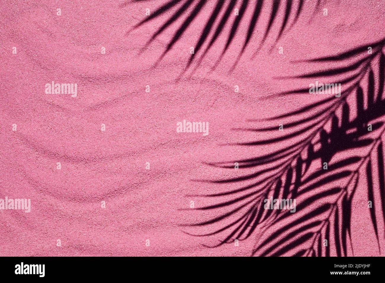 Pink sand texture. Sandy beach with palm shadow for product background ...