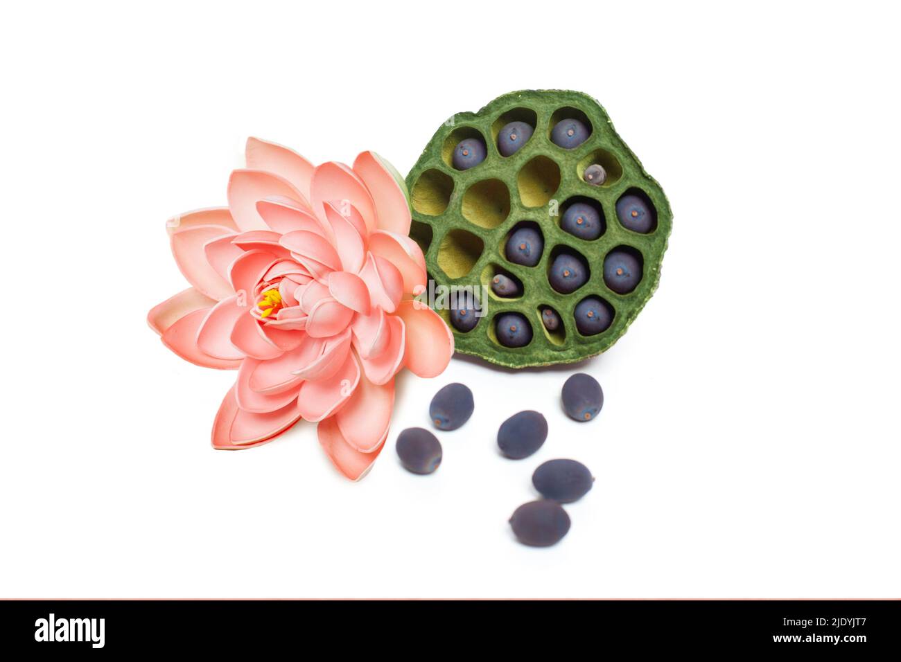 Trypophobia and lotus hi-res stock photography and images - Alamy